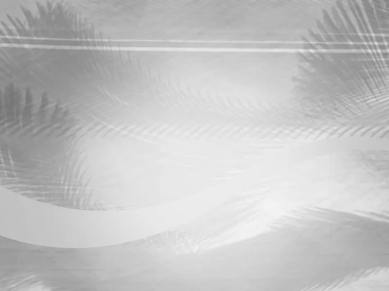 Best White Vector Background HD Images | Free Download